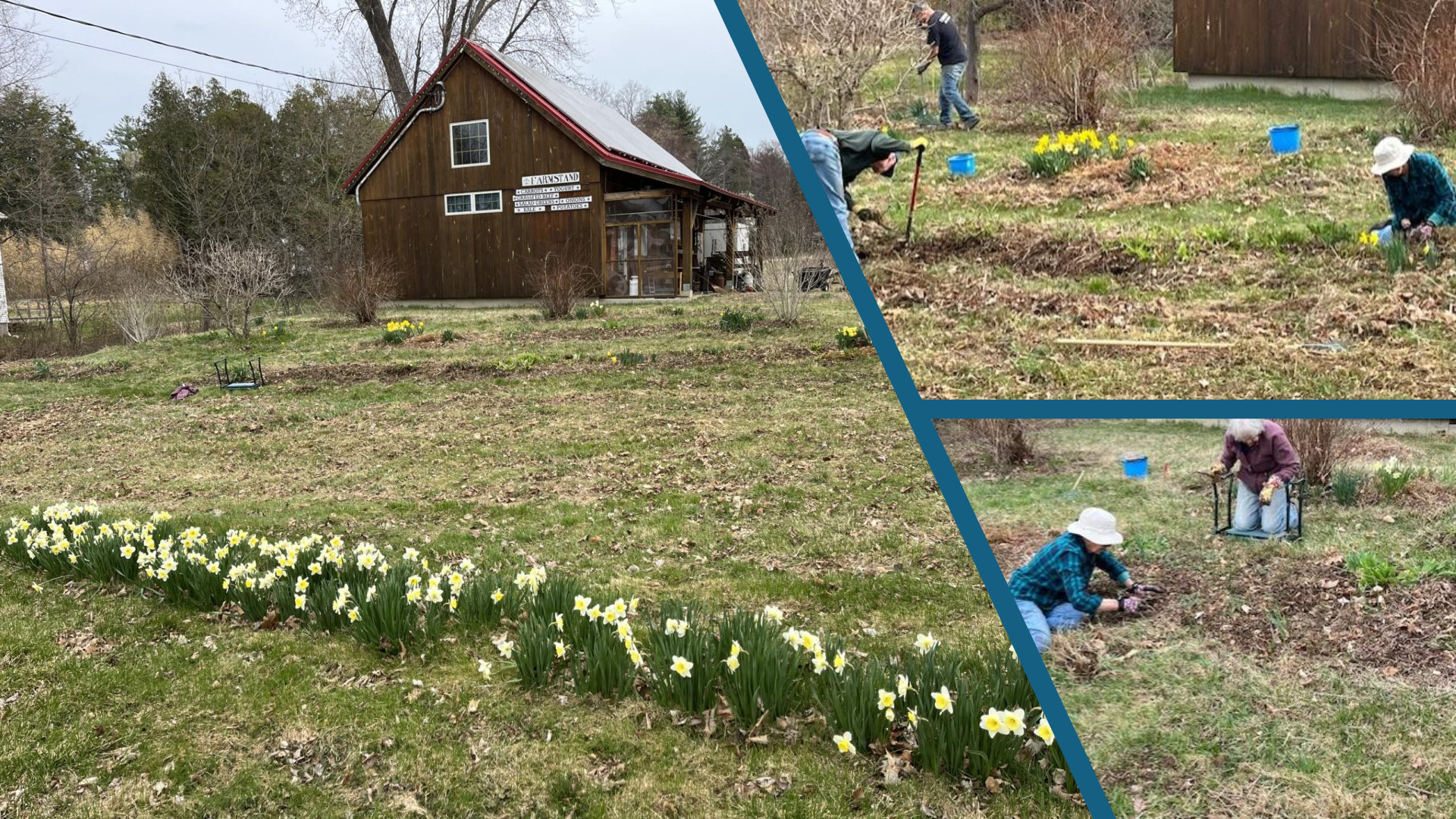 Spring clean up started at our local farm